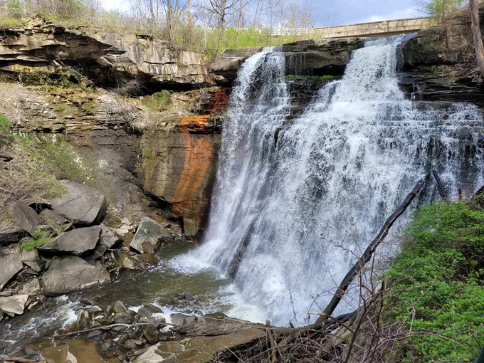 Brandywine Gorge Trail 5