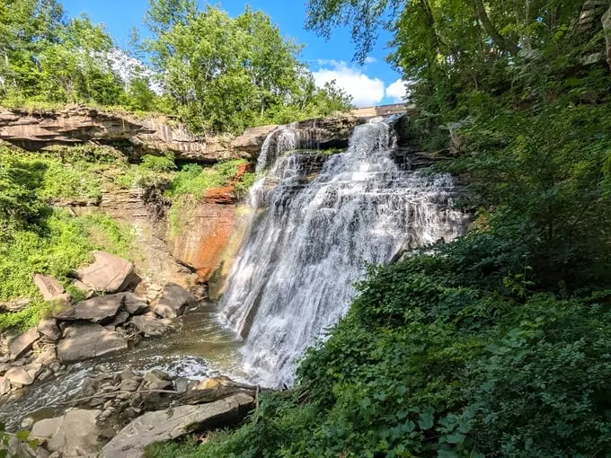 Brandywine Gorge Trail 6