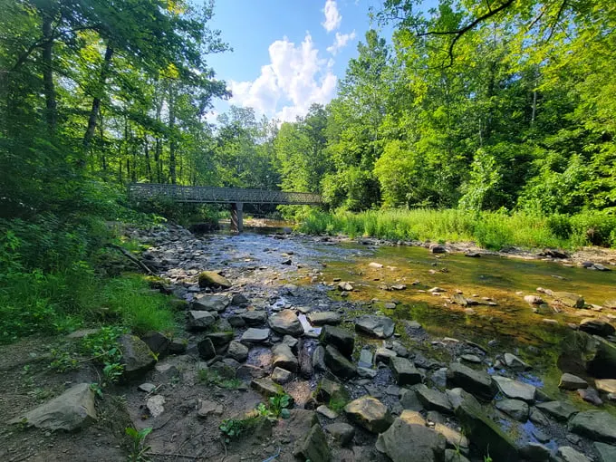 Brandywine Gorge Trail 8