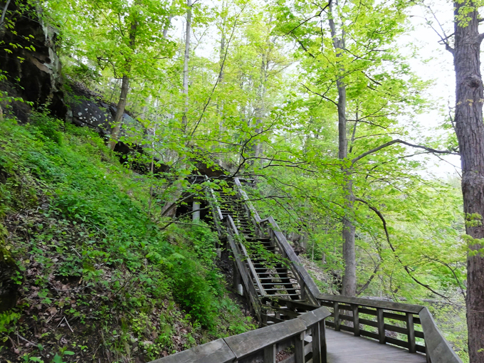 brandywine gorge trail 7