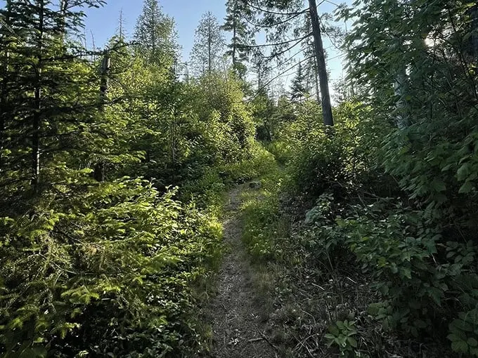 Bridal Veil Falls via Crab Lake Spur 3