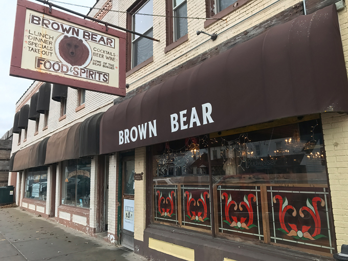 brown bear 1