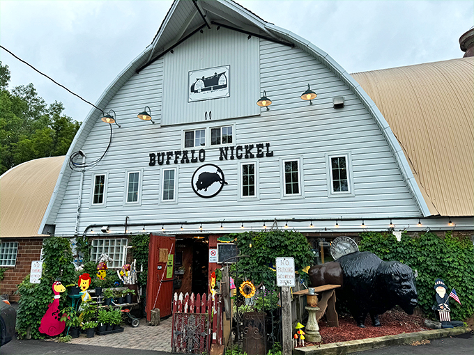 Buffalo Nickel Antiques 1