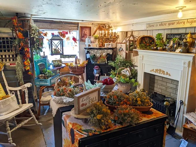 Buffalo Nickel Antiques 3