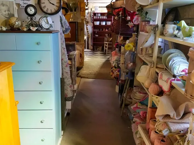 Buffalo Nickel Antiques 9