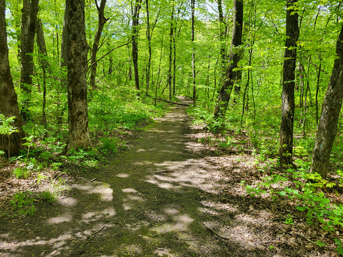 Caron Park 2