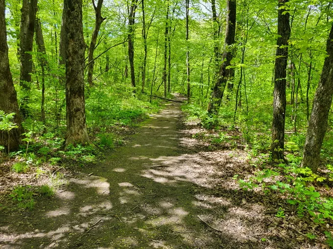 Caron Park 2