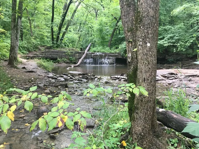 Caron Park 4