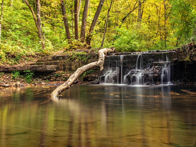 Caron Park 5