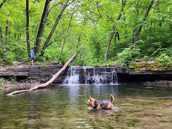 Caron Park 8