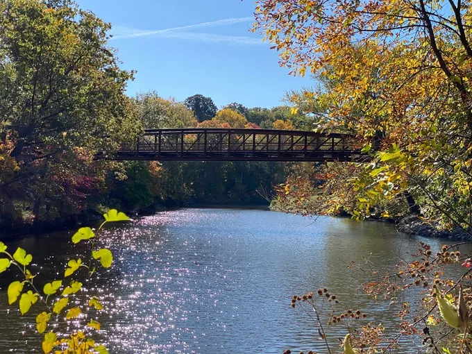 Cascade Park 8