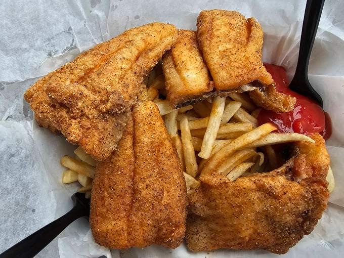 Catch of the Day 8