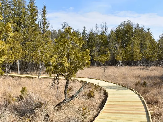 Cedar Bog Nature Preserve 1