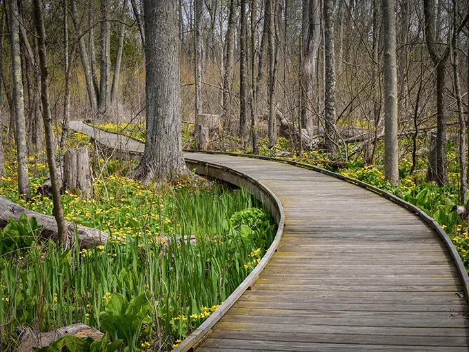 Cedar Bog Nature Preserve 3