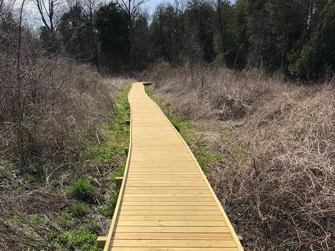 Cedar Bog Nature Preserve 8