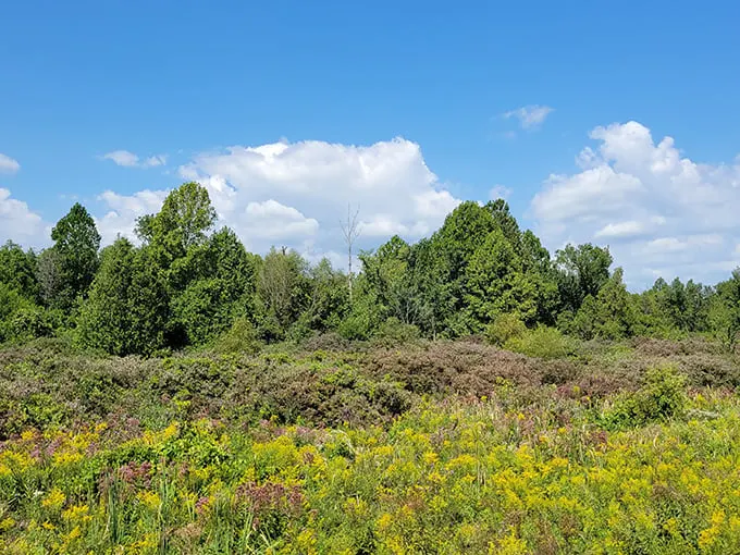 Cedar Bog Nature Preserve 9