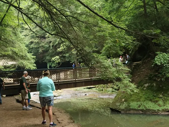 Cedar Falls 4
