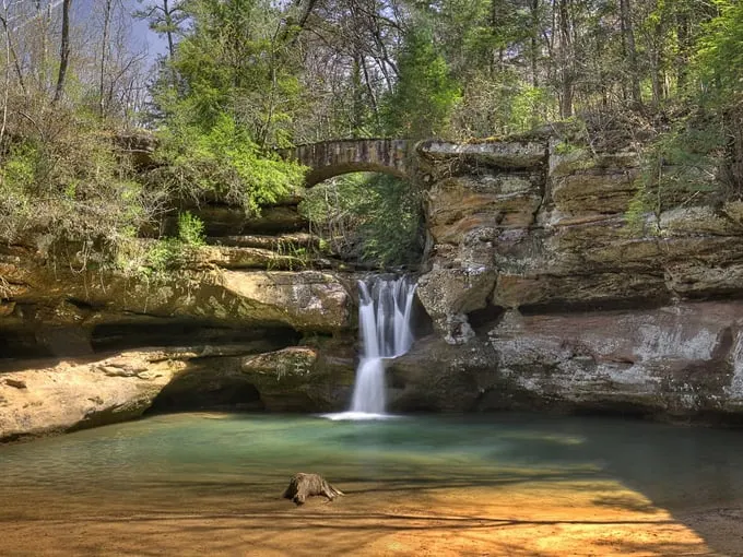 Cedar Falls 7
