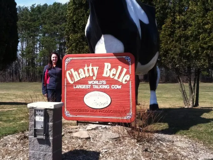 Chatty Belle 2