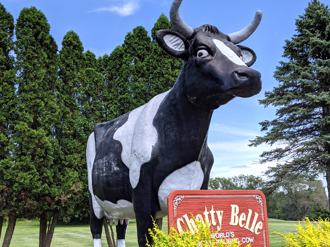 Chatty Belle 6