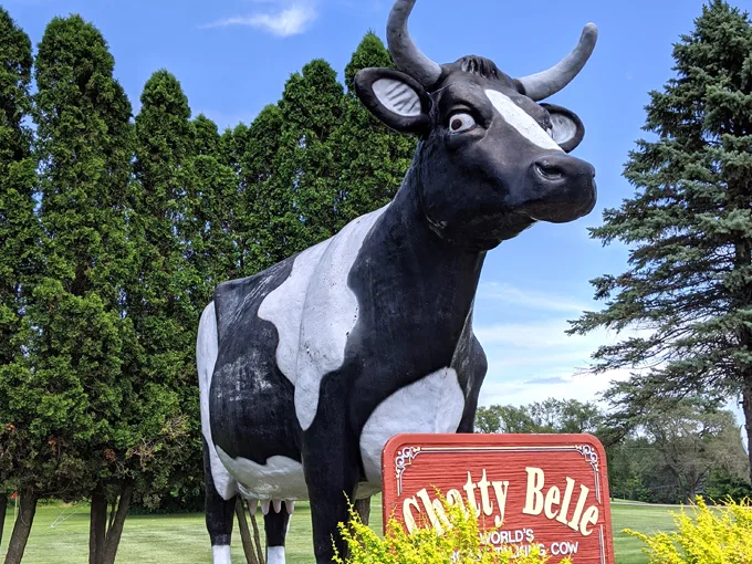 Chatty Belle 6