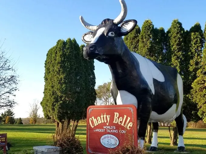 Chatty Belle 7