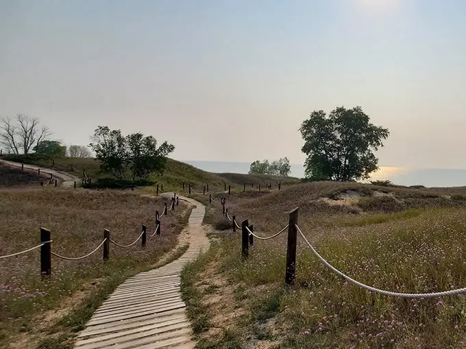Cordwalk-Boardwalk Trail 1