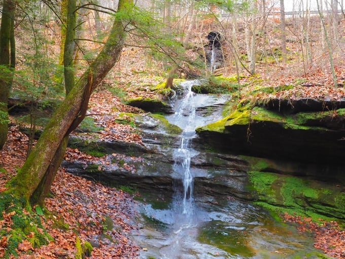 Corkscrew Falls 3