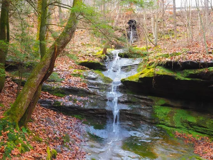 Corkscrew Falls 3