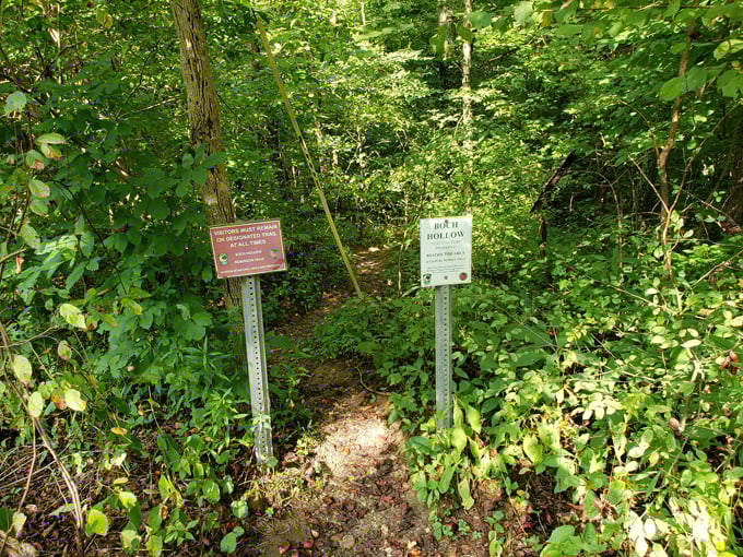 Corkscrew Falls 7