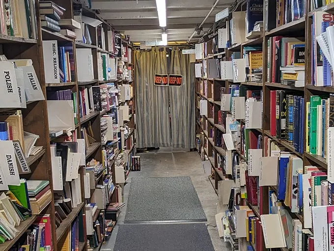 Curious Book Shop 5