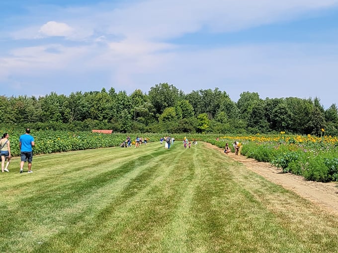 DeBuck's Family Farm 5