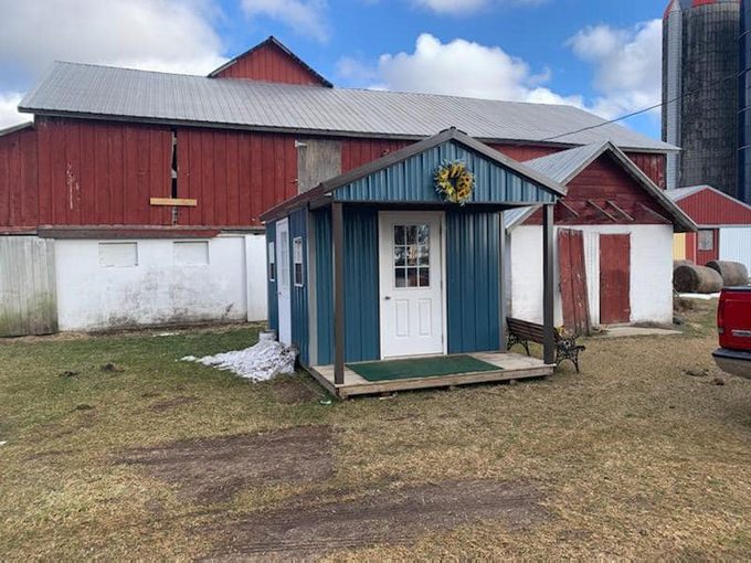 Degen Sunflower Farm 8