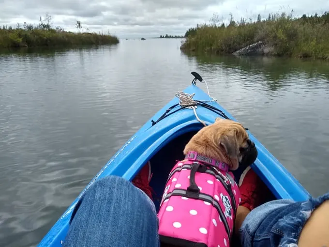 drummond island 7