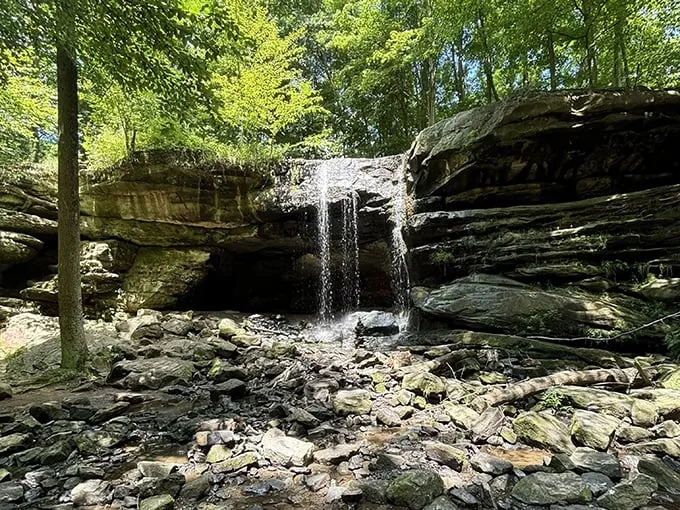 Dundee Falls 3