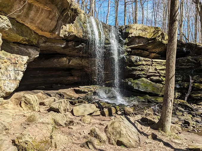 Dundee Falls 5