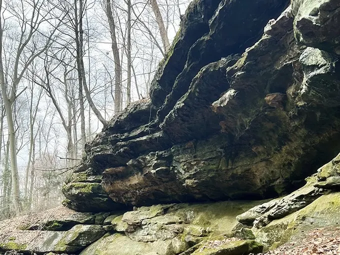 Dundee Falls 7