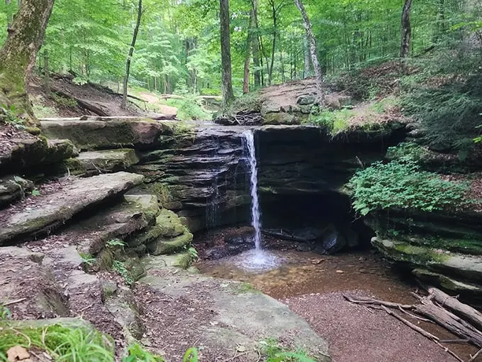 Dundee Falls 8