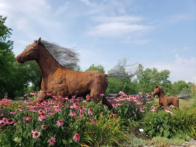 Edgewood Orchard Galleries 1