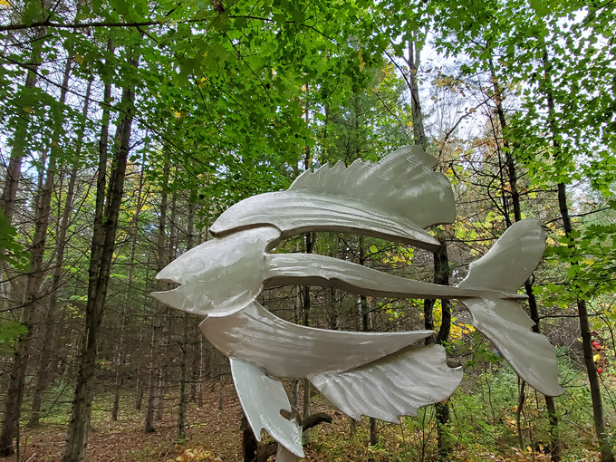 Edgewood Orchard Galleries 4