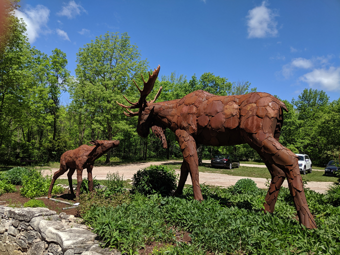 Edgewood Orchard Galleries 6