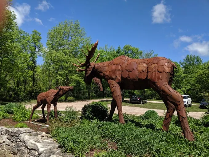 Edgewood Orchard Galleries 6