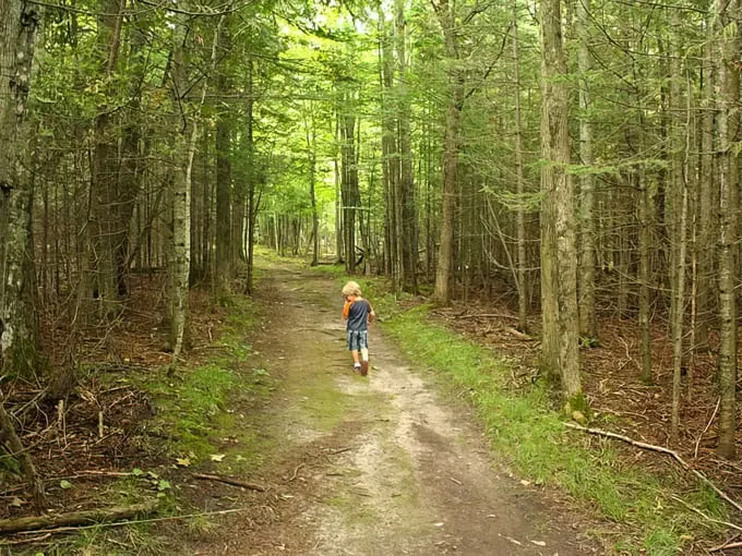 fayette overlook trail 1