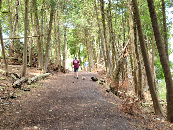 fayette overlook trail 5