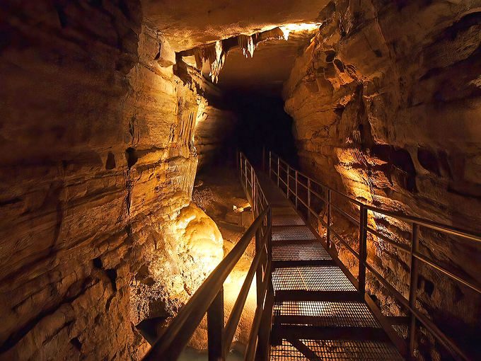 Forestville Mystery Cave State Park 1