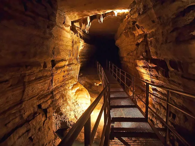 Forestville Mystery Cave State Park 1