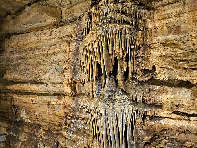 Forestville Mystery Cave State Park 3