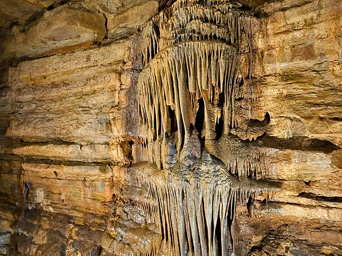Forestville Mystery Cave State Park 3