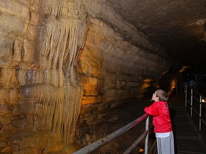 Forestville/Mystery Cave State Park 3