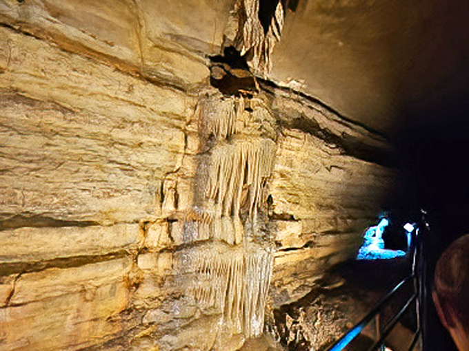 Forestville Mystery Cave State Park 4